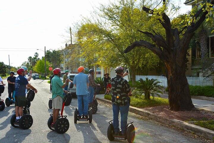 Galveston Tree Carvings Segway Tour, Apr 10th 6:00pm, Houston, eventseeker