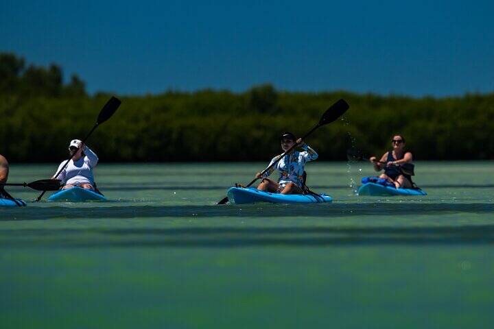 Kayak Tour at Shell Key with Capt Yak, May 14th 7:00pm, St. Petersburg ...