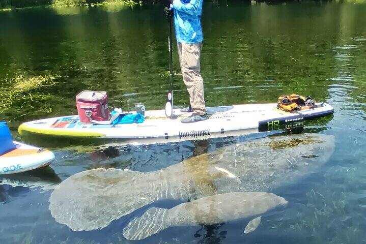 Manatee and Monkeys Clear Kayak or Clear Paddleboard Adventure, Jun 7th ...