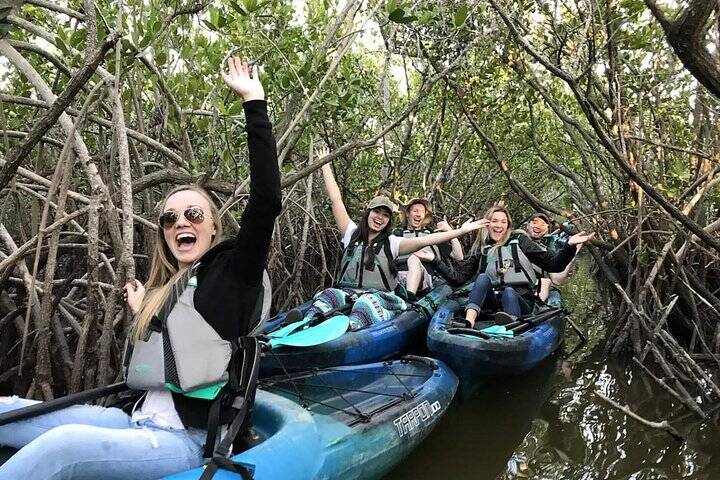Thousand Island Mangrove Tunnel, Manatee & Dolphin Kayak Tour w/Cocoa ...