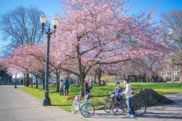 Essential Portland Bike and E-Bike Tour, Jun 27th 4:00pm, Portland ...
