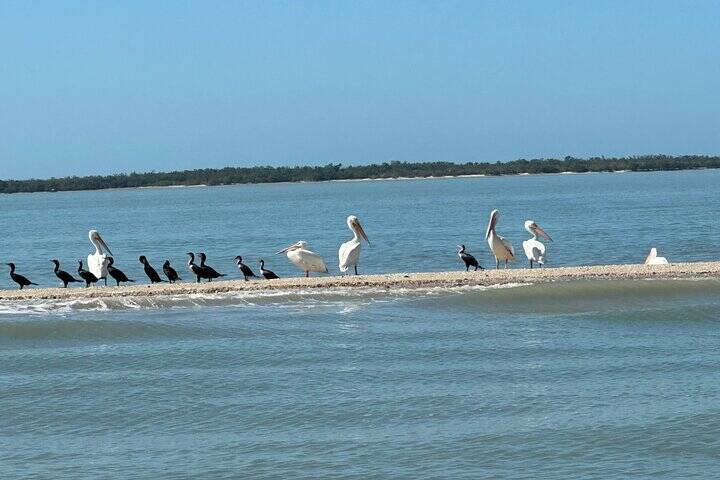 4 Hour Marco Island Private Sailing Experience Jul 9th 7 00pm Naples
