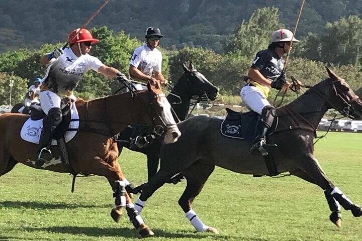 Honolulu Polo Game with Stables Tour and VIP Seats plus Private Island ...