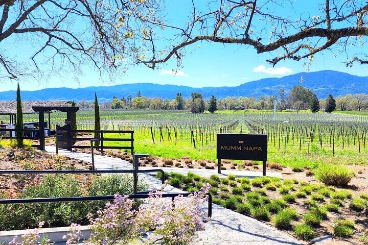 Half Day Private Champagne Wine Tour to Sonoma and Napa, Jun 25th 4 ...