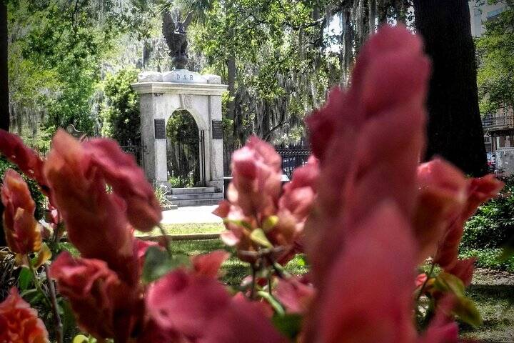 Botanical Tour (by Walk With Me Savannah Tours), Jun 23rd 7:00pm ...