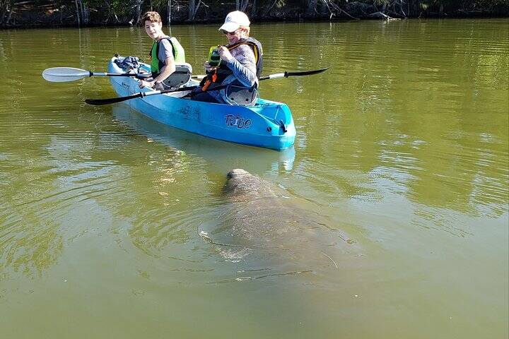 Manatee and Dolphin Kayaking | Haulover Canal (Titusville), Jun 21st 7 ...