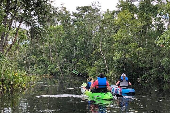 Self-Guided Kayaking: Real Florida Adventure, Jun 29th 7:00pm ...