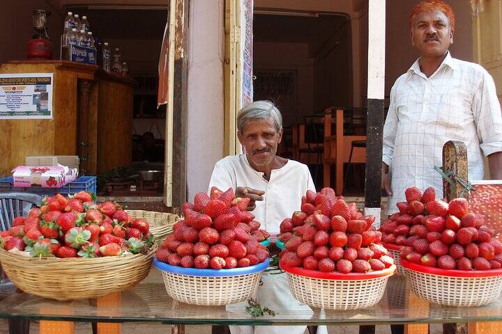 Day Trip to Mahabaleshwar-Panchgani (Guided Fullday Sightseeing Tour ...