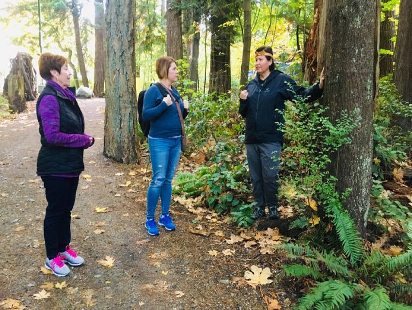 Talking Trees: Stanley Park Indigenous Walking Tour Led by a First ...