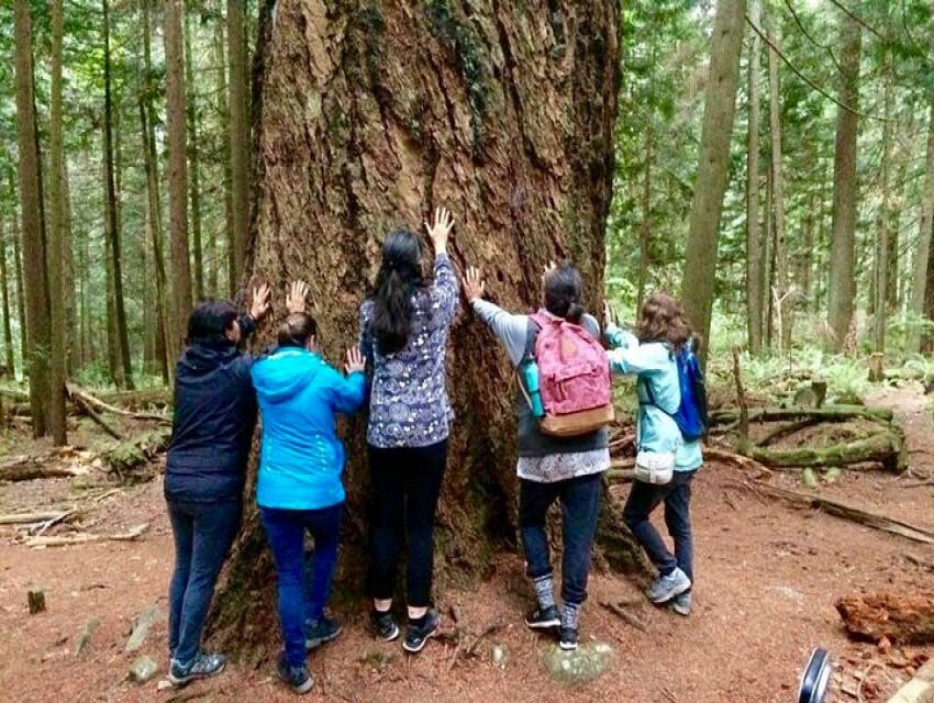 Talking Trees: Stanley Park Indigenous Walking Tour Led by a First ...