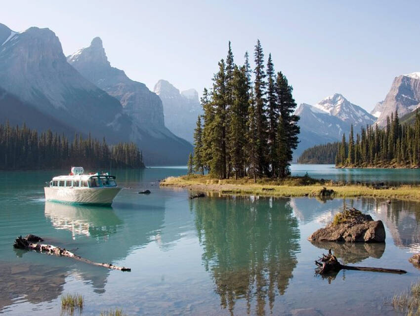 5.5-Hour Jasper Wildlife and Waterfalls Tour with Maligne Lake Cruise ...