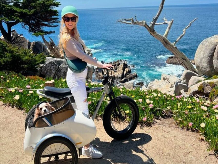 Dog-Friendly Electric Bike and Sidecar Guided Tour, Carmel-by-the-Sea ...