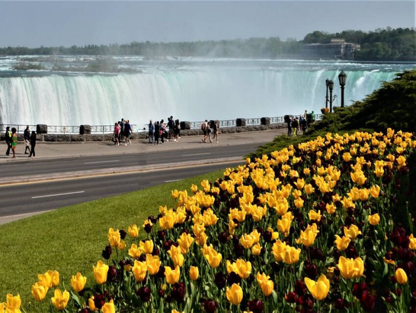 Niagara Falls and Niagara-on-the-Lake Day Tour from Toronto, Aug 11th 7 ...
